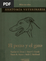 Atlas Del Desarrollo Embrionario Del Perro Embriologia - Compress | PDF ...