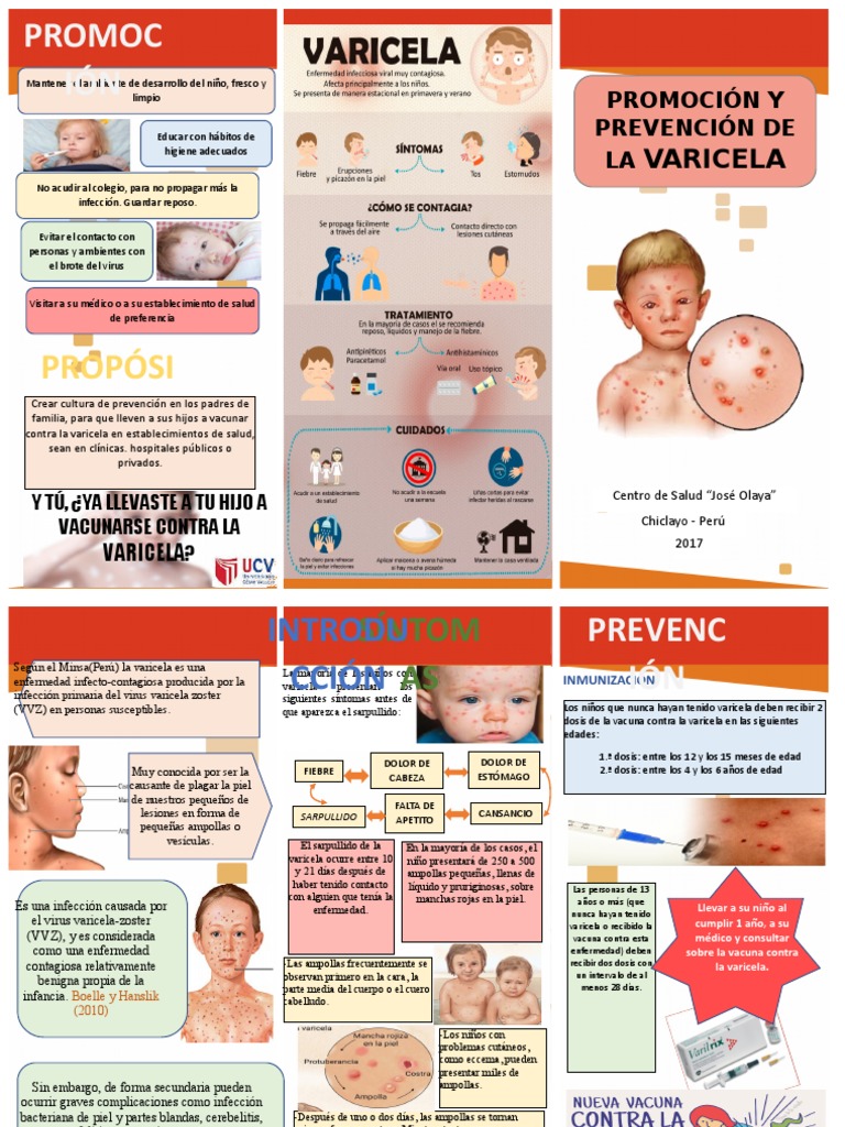 TripTico Varicela | PDF | Salud pública | Rtt