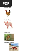 Animales en Xinka | PDF