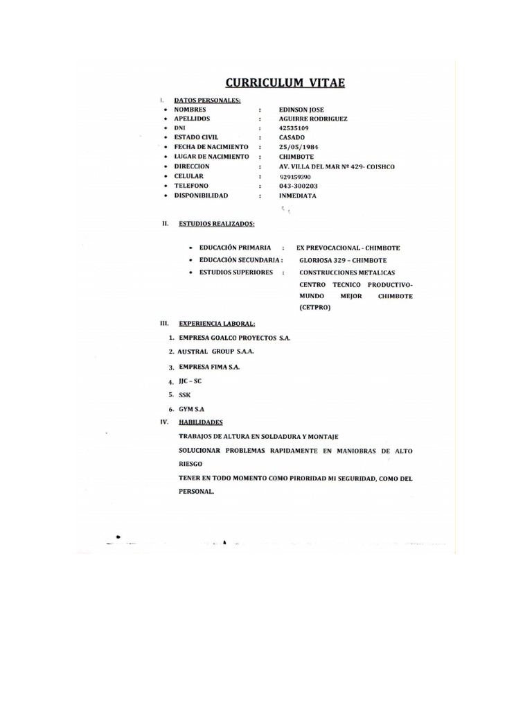 Curriculum Edy | PDF