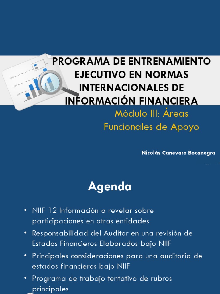 NIIF: Auditoría y Revelación Financiera | PDF | normas internacionales ...