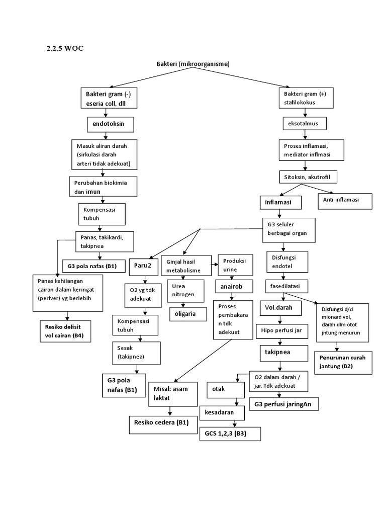 Woc Syok Sepsis | PDF
