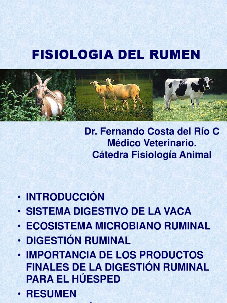 Fisiologia_del_rumen... -------.ppt | Rumiante | Sistema endocrino | Prueba gratuita de 30 días ...