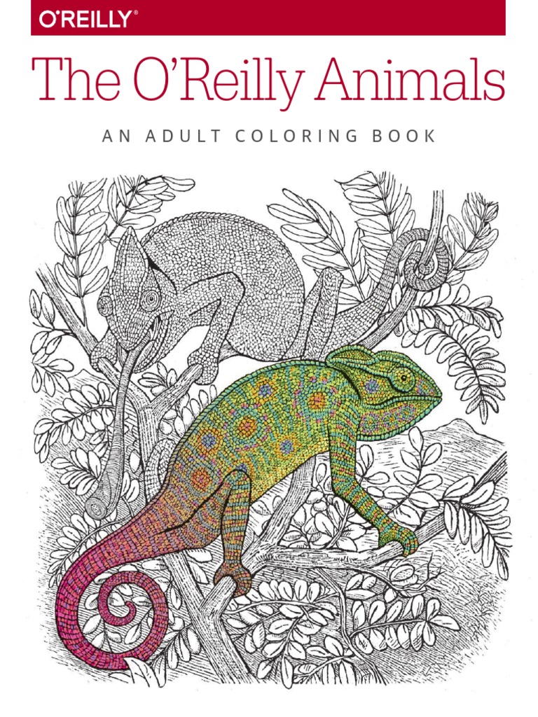 Coloring Book Downloadable PDF | PDF | Books | Computing And ...