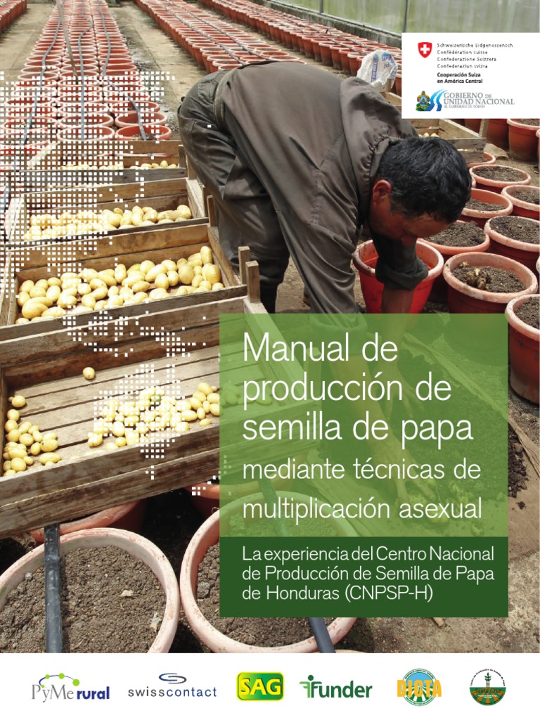 Manual de Produccion de Semilla de Papa | Patata | Botánica