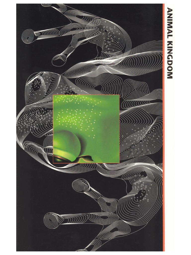 Macmillan - Visual Dictionary - Animal Kingdom PDF | PDF