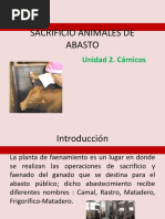 Visita Al Rastro | PDF | Carne | Matadero