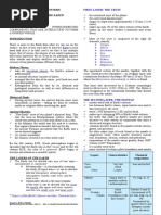 Campfire Script BSP | PDF