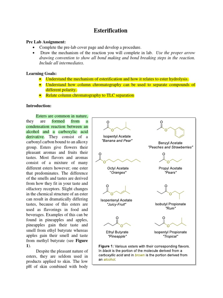Lab 7 Esterification | PDF | Ester | Chemical Substances