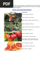 Daftar Nama-Nama Buah Dari Huruf B | PDF | Griya & Taman | Kesehatan ...