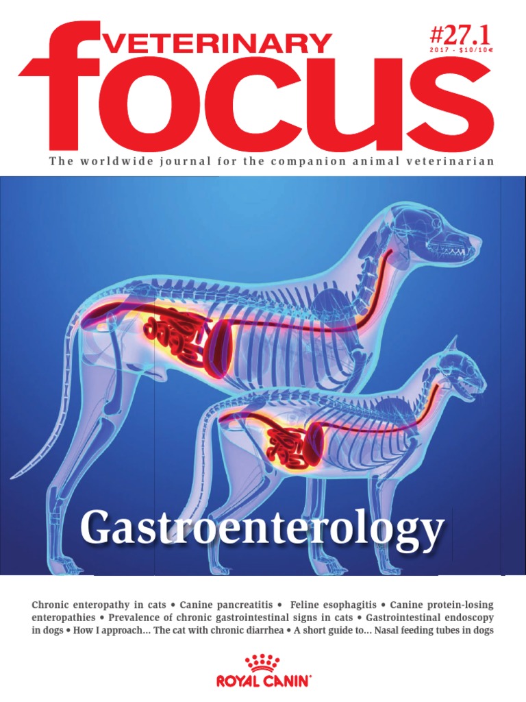 Veterinary Focus 27.1 | PDF | Inflammatory Bowel Disease | Biopsy
