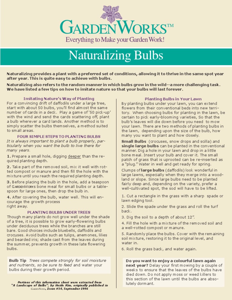 Bulbs. Naturalizing Bulbs | PDF | Bulb | Lawn