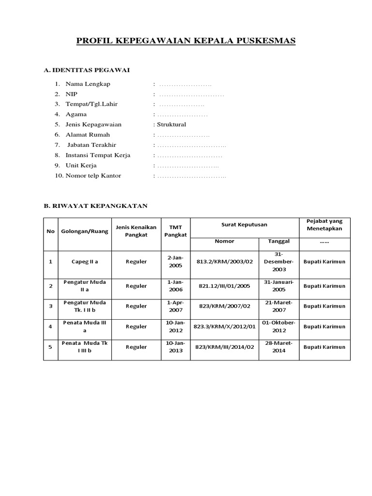 2.2.1.1profil Kepegawaian Kepala Puskesmas | PDF