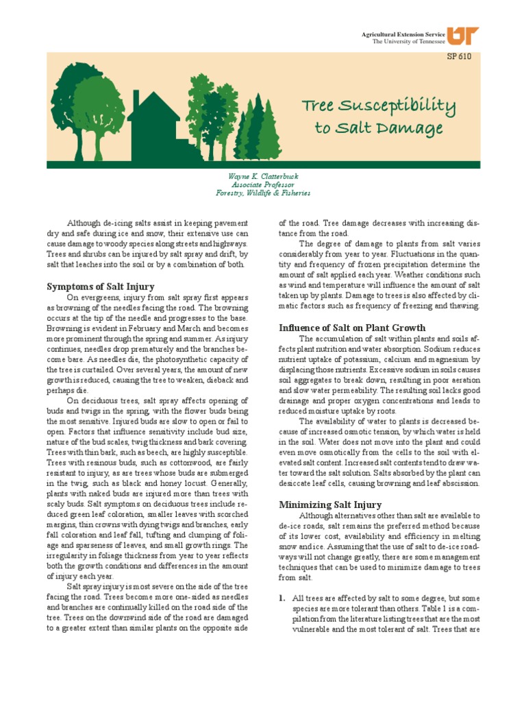 Tree Susceptibility To Salt Damage | PDF