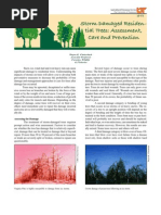 ISABasicTreeRiskAssessmentForm Instructions | PDF | Wood | Trees