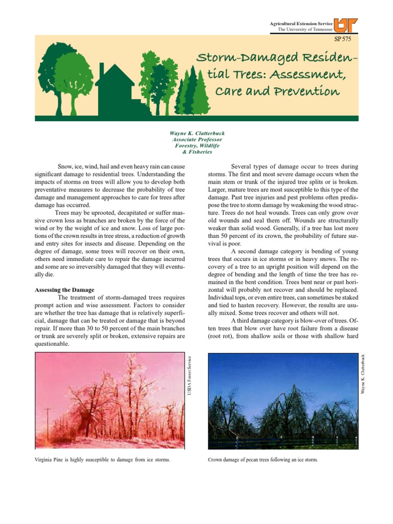 Storm Damaged Residential Trees Assessment. Care and Prevention | PDF ...