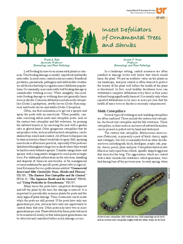 Insect Defoliators of Ornamental Trees and Shrubs | PDF