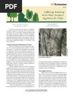 ANSI A300 Pruning Standards Overview | PDF | Pruning | Plant Stem