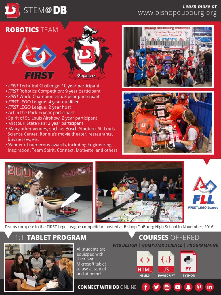 Stem Flyer | PDF | Science And Technology | Cognitive Science