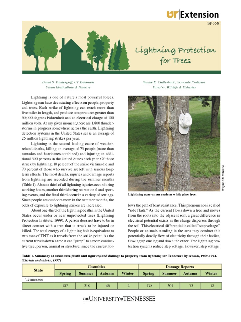 Lightning Protection For Trees | PDF