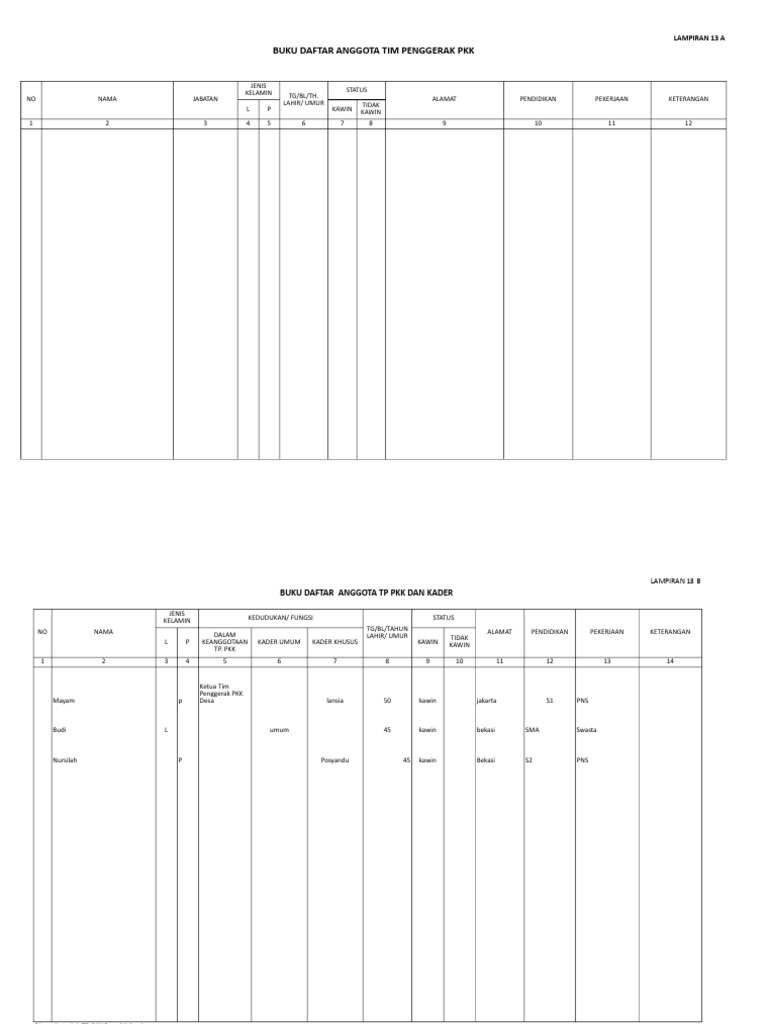 Format Laporan Sim Pkk