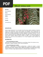 Ichu | PDF | Plantas | Horticultura y jardinería