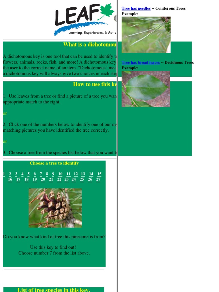 What Is A Dichotomous Key?: Choose A Tree To Identify | PDF