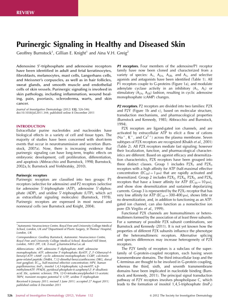 Purinergic Signaling in Healthy and Diseased Skin | PDF | Epidermis ...