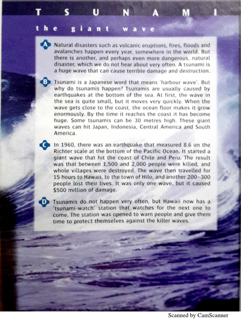 Tsunami | PDF