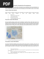 Anemia Normositik Normokrom | PDF