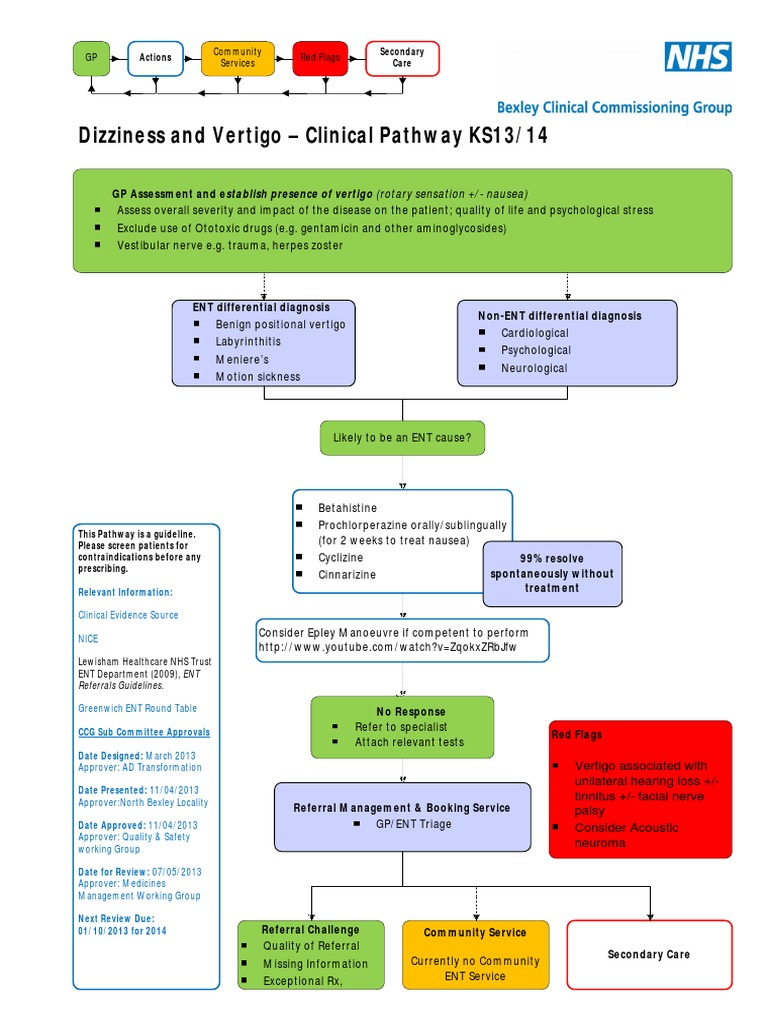 Dizziness FINAL Bexley Pathway KS13-14 v6 1 | Vertigo | Clinical Medicine