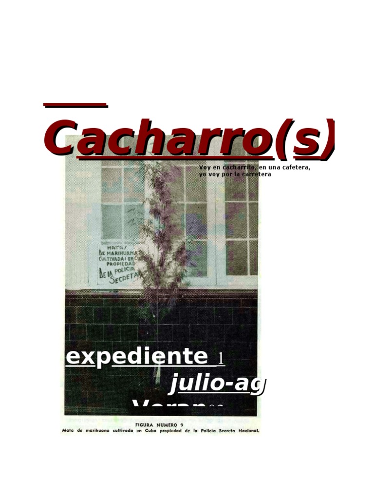 Cacharro(s) 1 | PDF