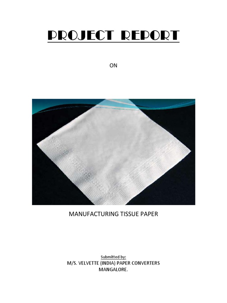 Project Report For TissueFOR BANK PURPOSE | PDF | Industries | Printing ...