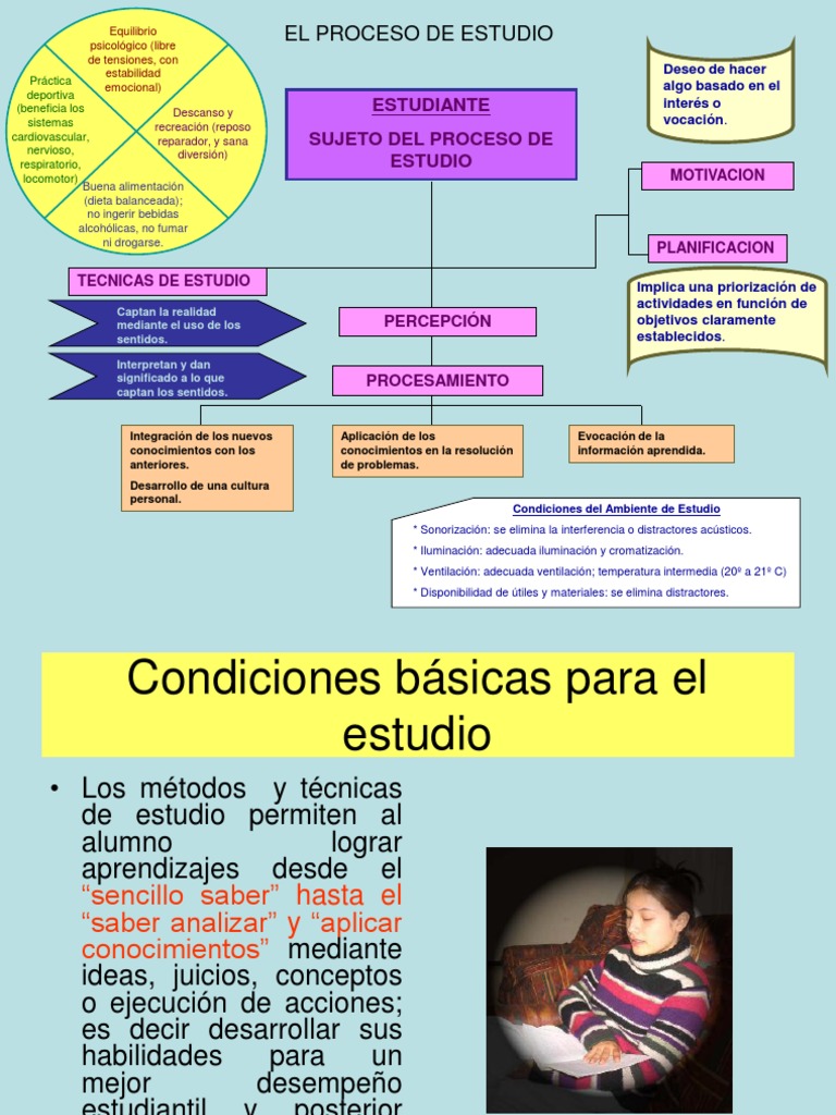 El Proceso de Estudio PDF | Descargar gratis PDF | Motivación ...