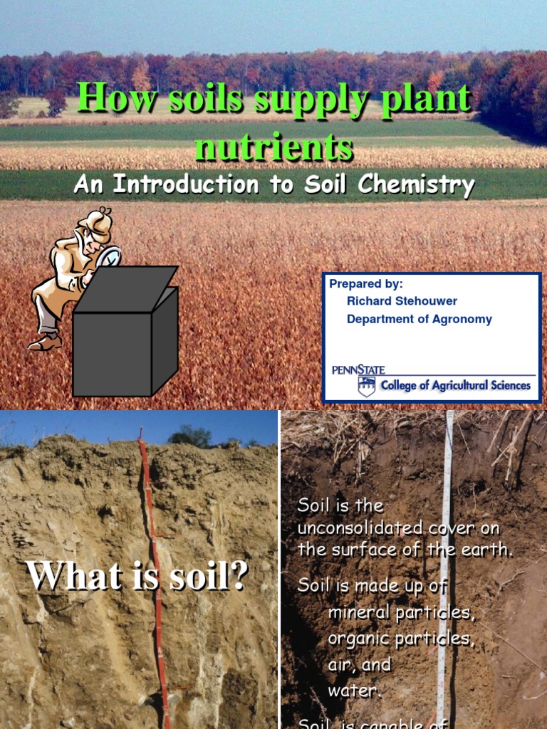 Introduction Soil Chemistry | Plant Nutrition | Soil