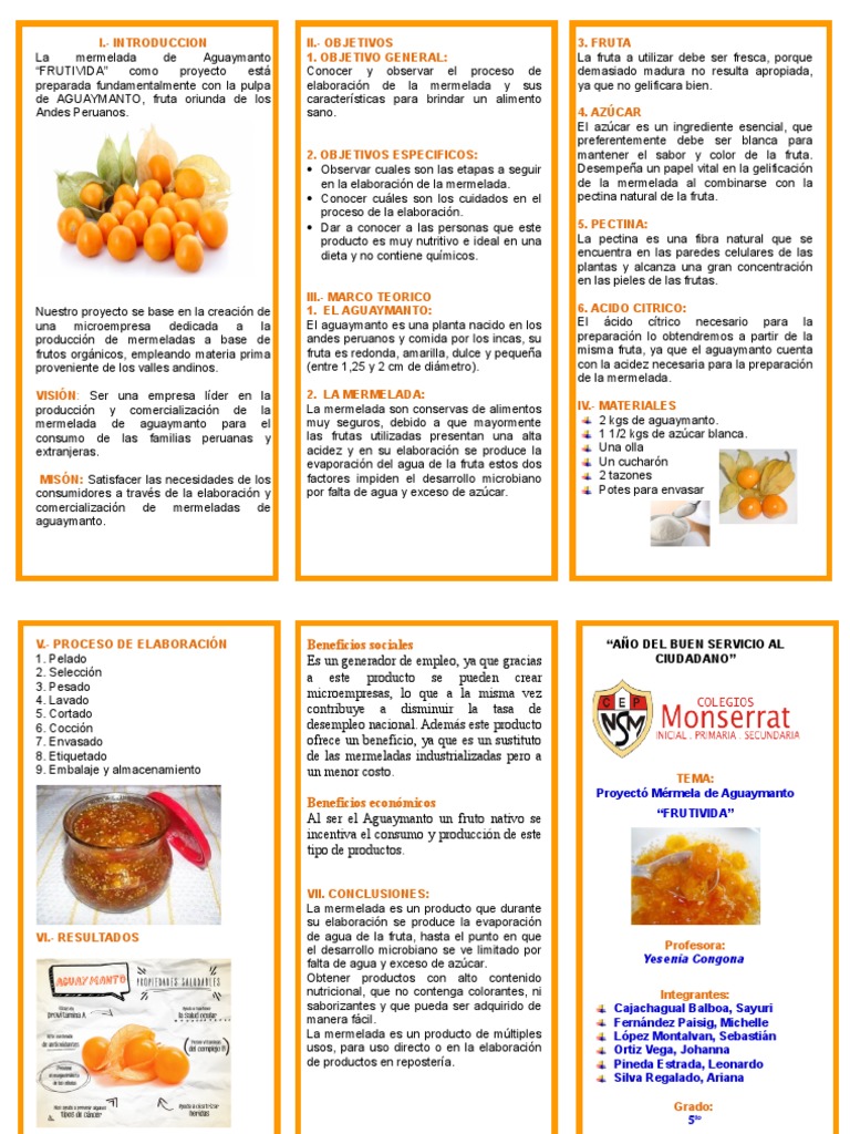 TRIPTICO Aguaymanto | PDF | Azúcar | Dieta y nutrición