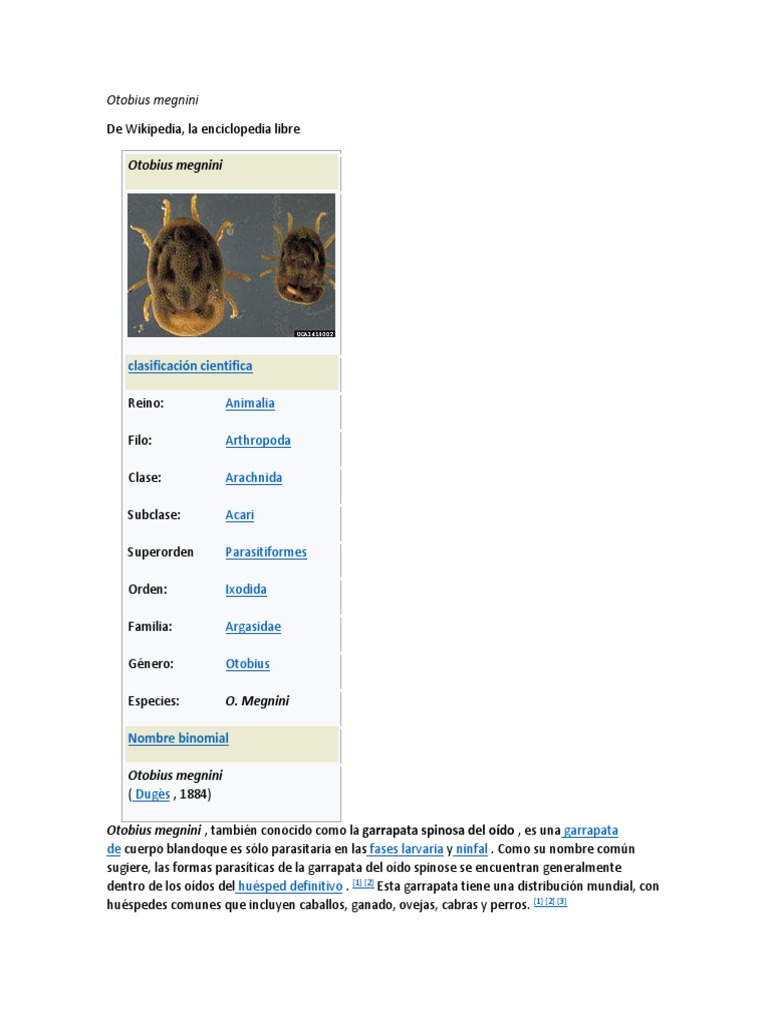 Otobius Megnini | PDF | Zoología | Organismos