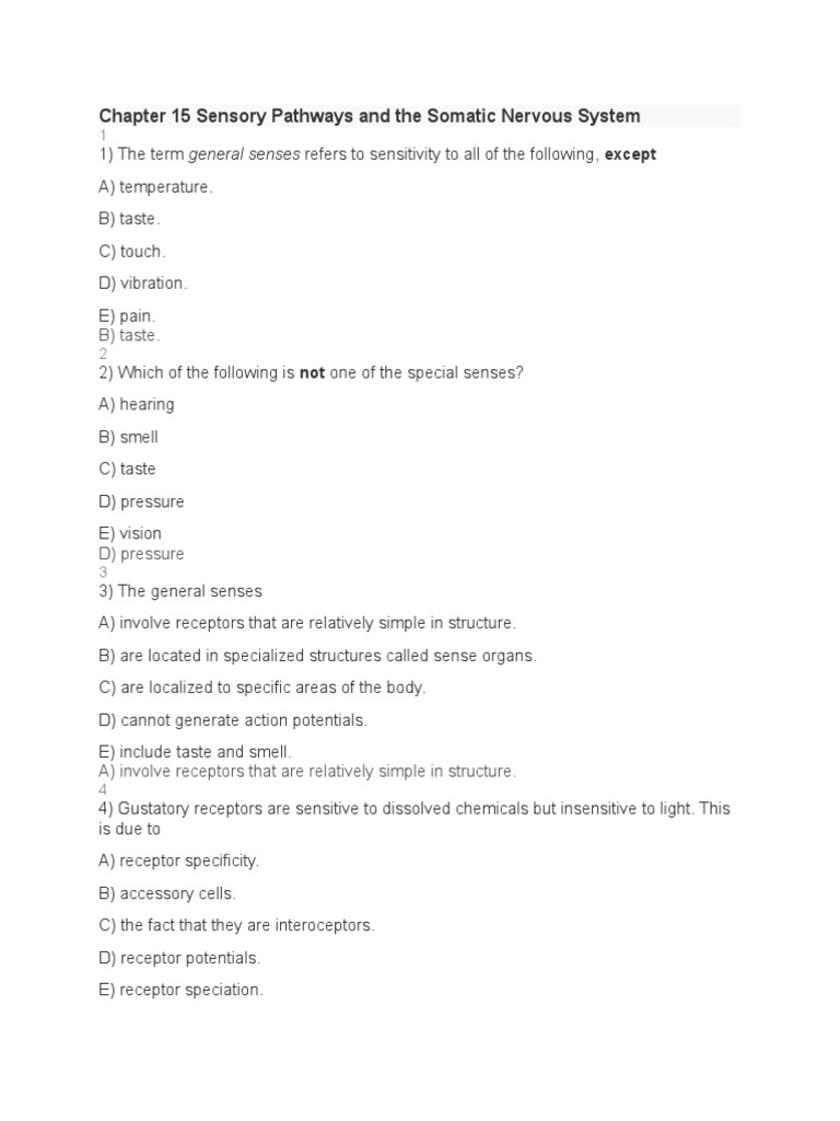 Chapter 15 Sensory Pathways and The Somatic Nervous System | PDF ...