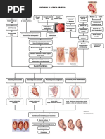 Pathway Placenta Previa | PDF | Sains & Matematika