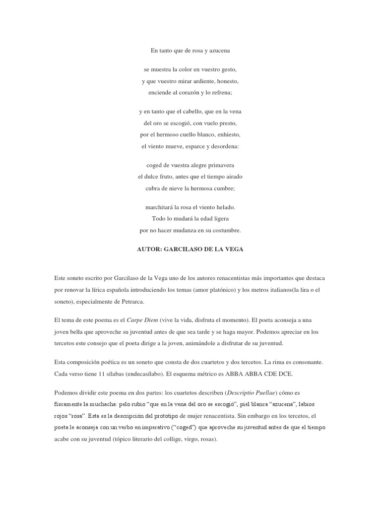Análisis del soneto "En tanto que de rosa y azucena" | PDF | Sonetos ...