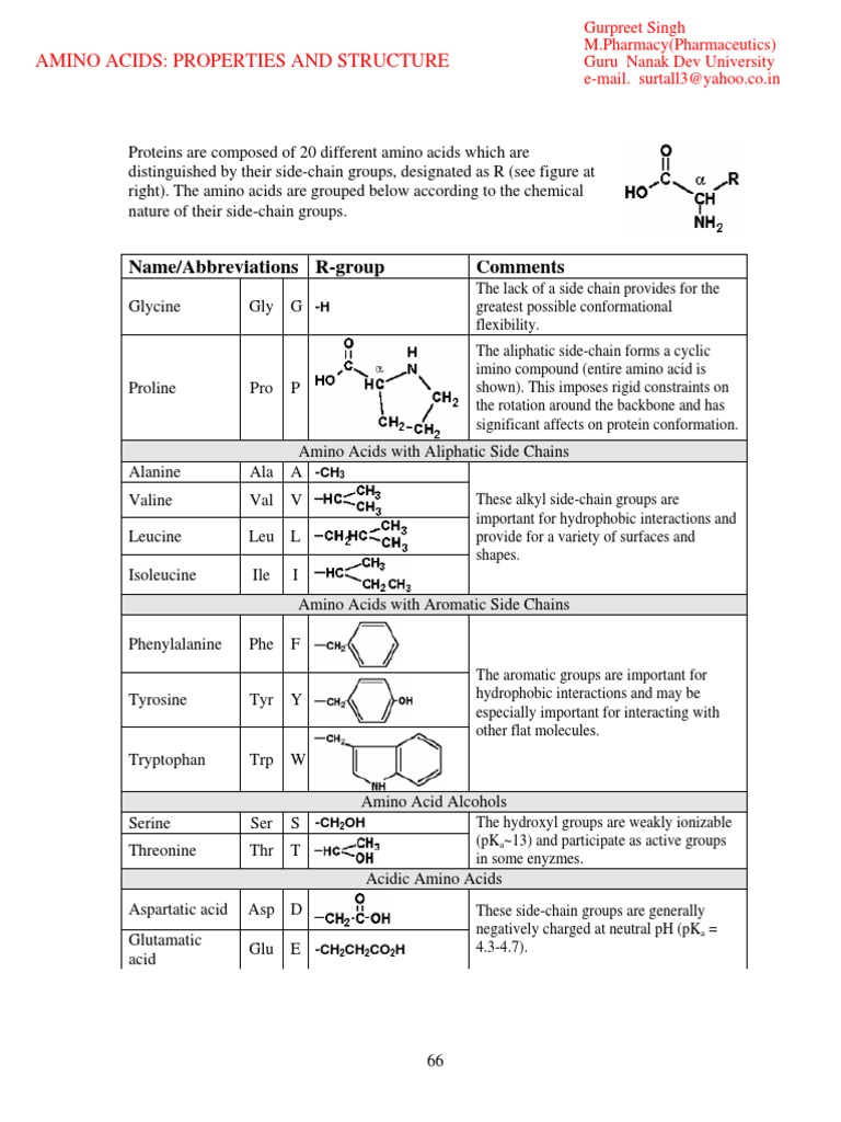 Amino Acids Properties and Structure PDF | PDF | Cysteine | Amino Acid