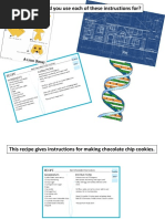 Oregon Trail Packing Guide | PDF | Foods | Food And Drink Preparation
