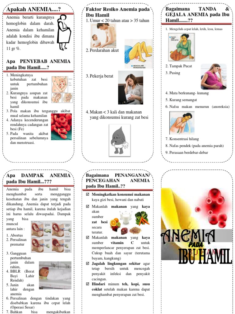 Leaflet Anemia | PDF