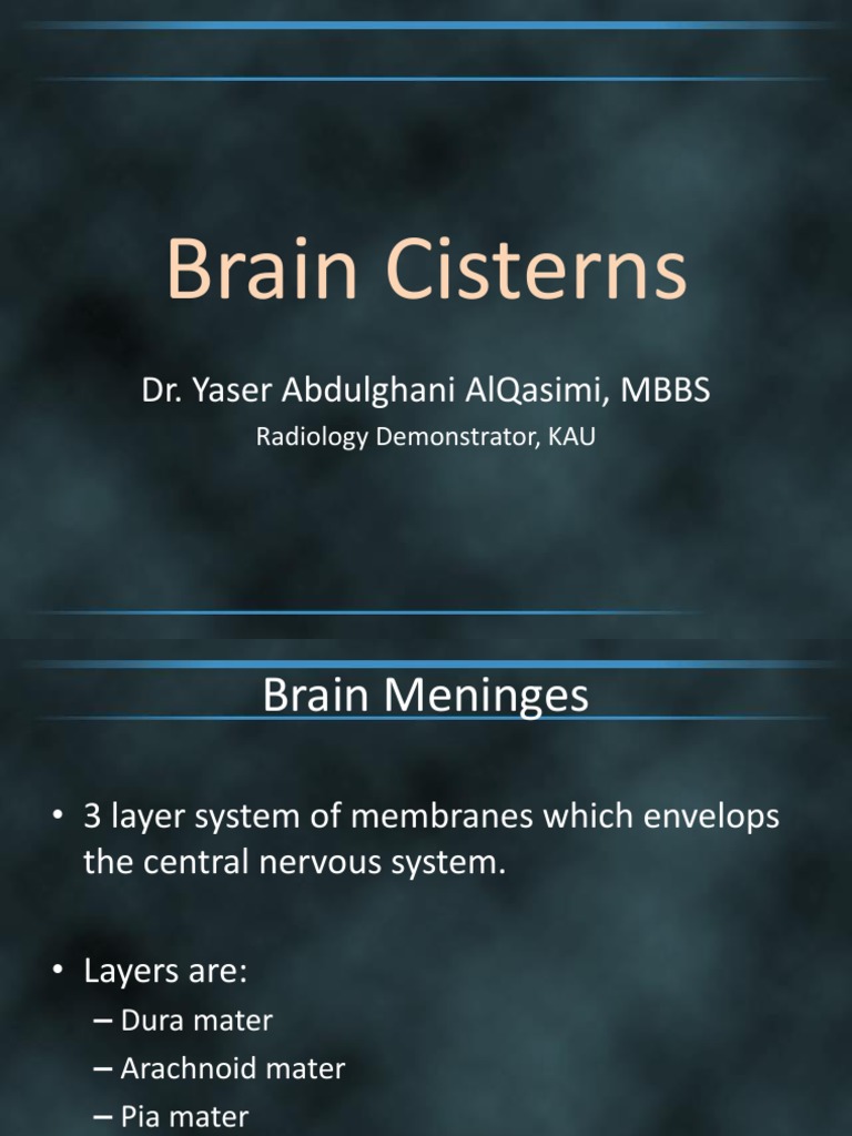 Brain Cisterns | Download Free PDF | Central Nervous System | Neuroanatomy