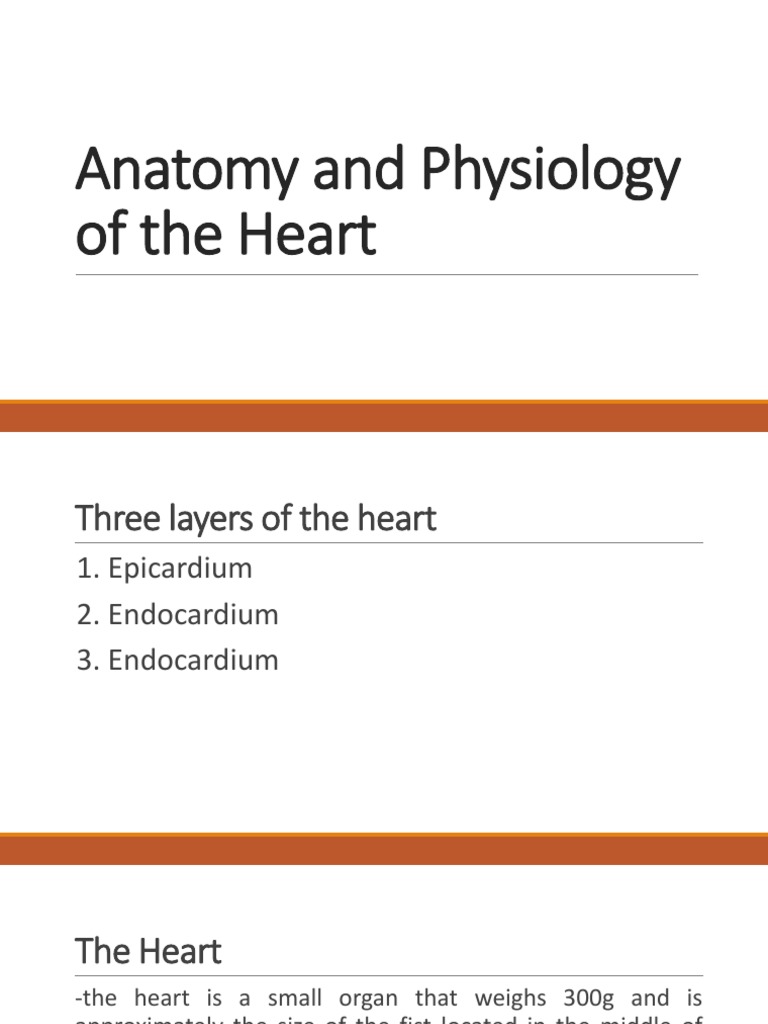 Anatomy and Physiology of the Heart | PDF | Heart Valve | Diastole