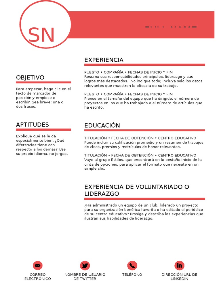 SN Curriculum Modelo | PDF
