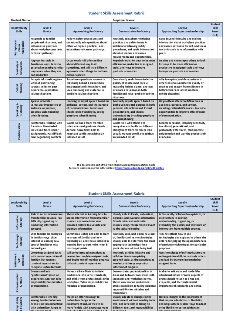 Student Skills Assessment Rubric | PDF | Educational Assessment ...