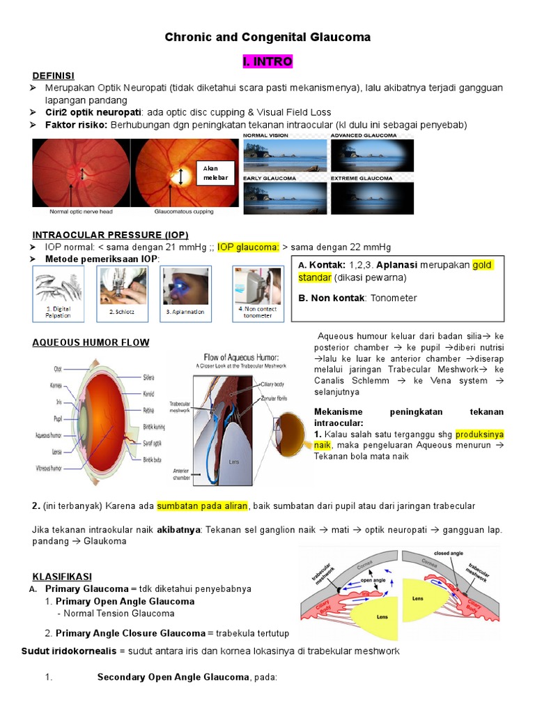 Chronic Glaucoma and Congenital Glaucoma | PDF