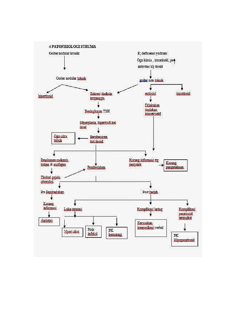 Pathway Struma | PDF
