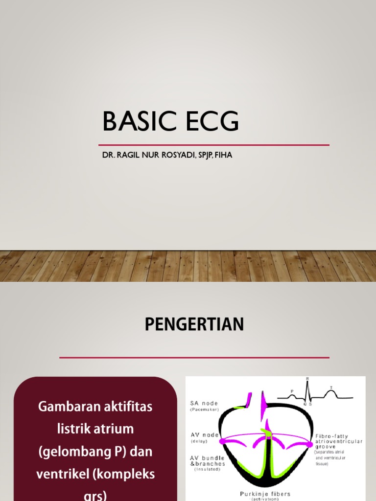 Basic ECG Interpretation Guide | PDF